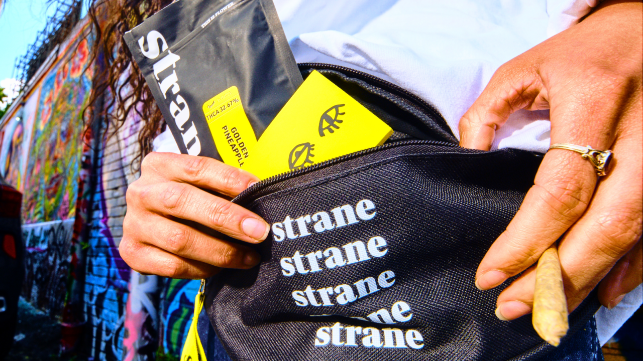 Our Brands - Holistic Industries